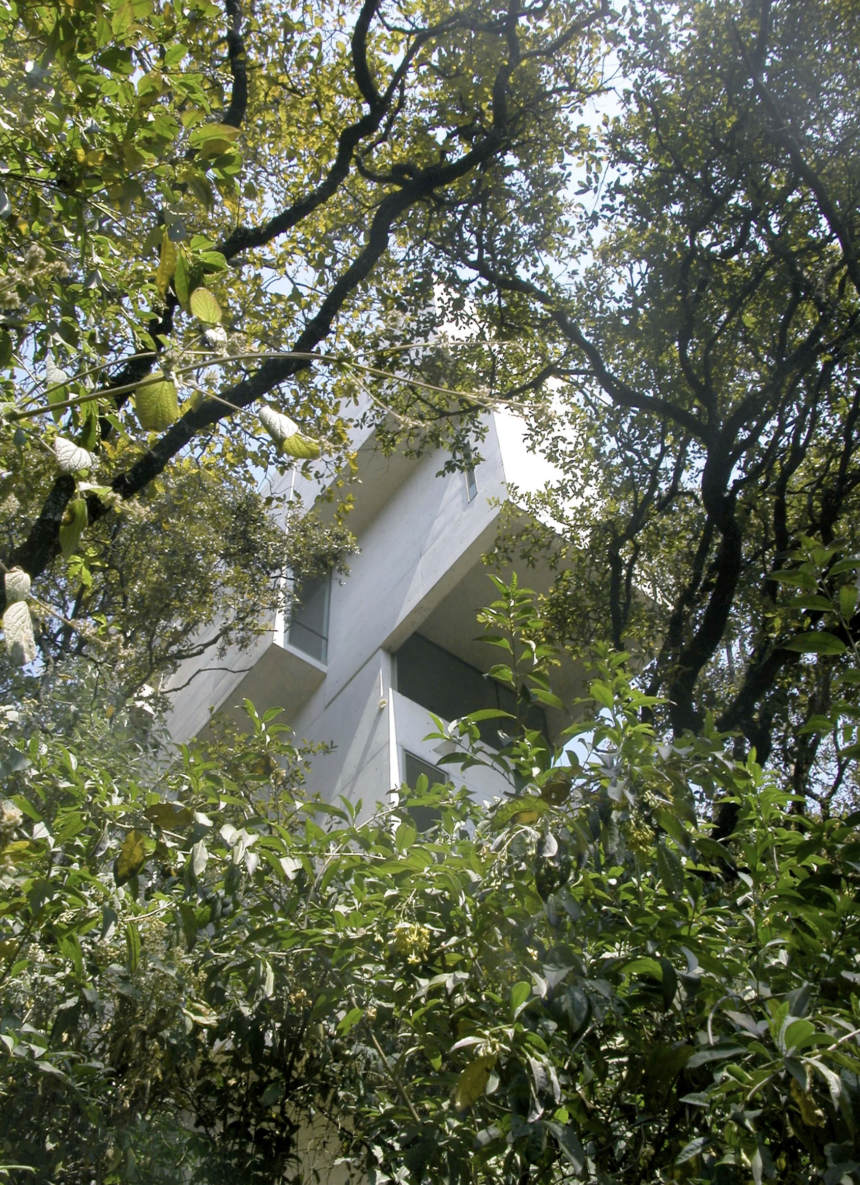 VILLA CIMA