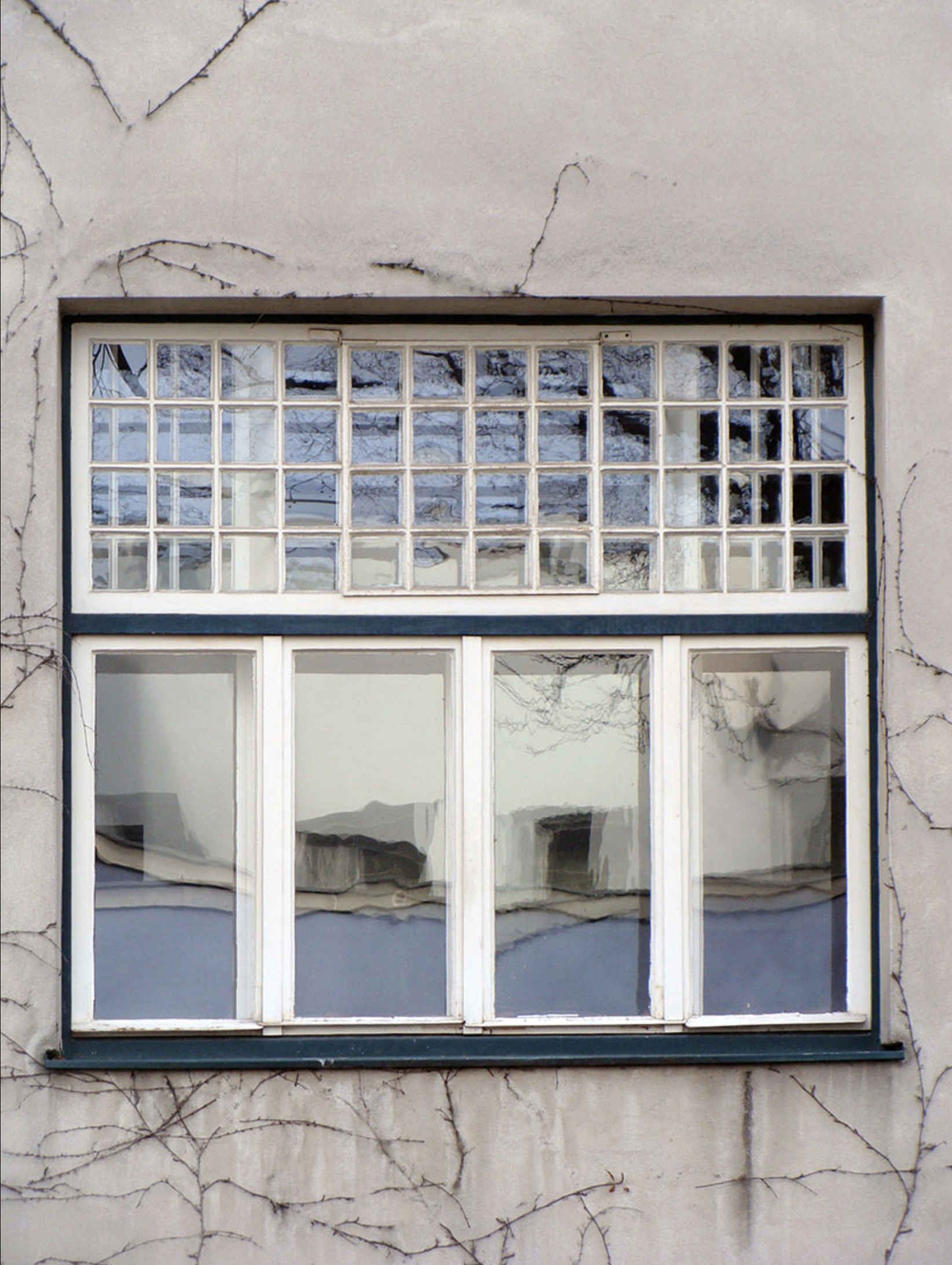 Scheu House
