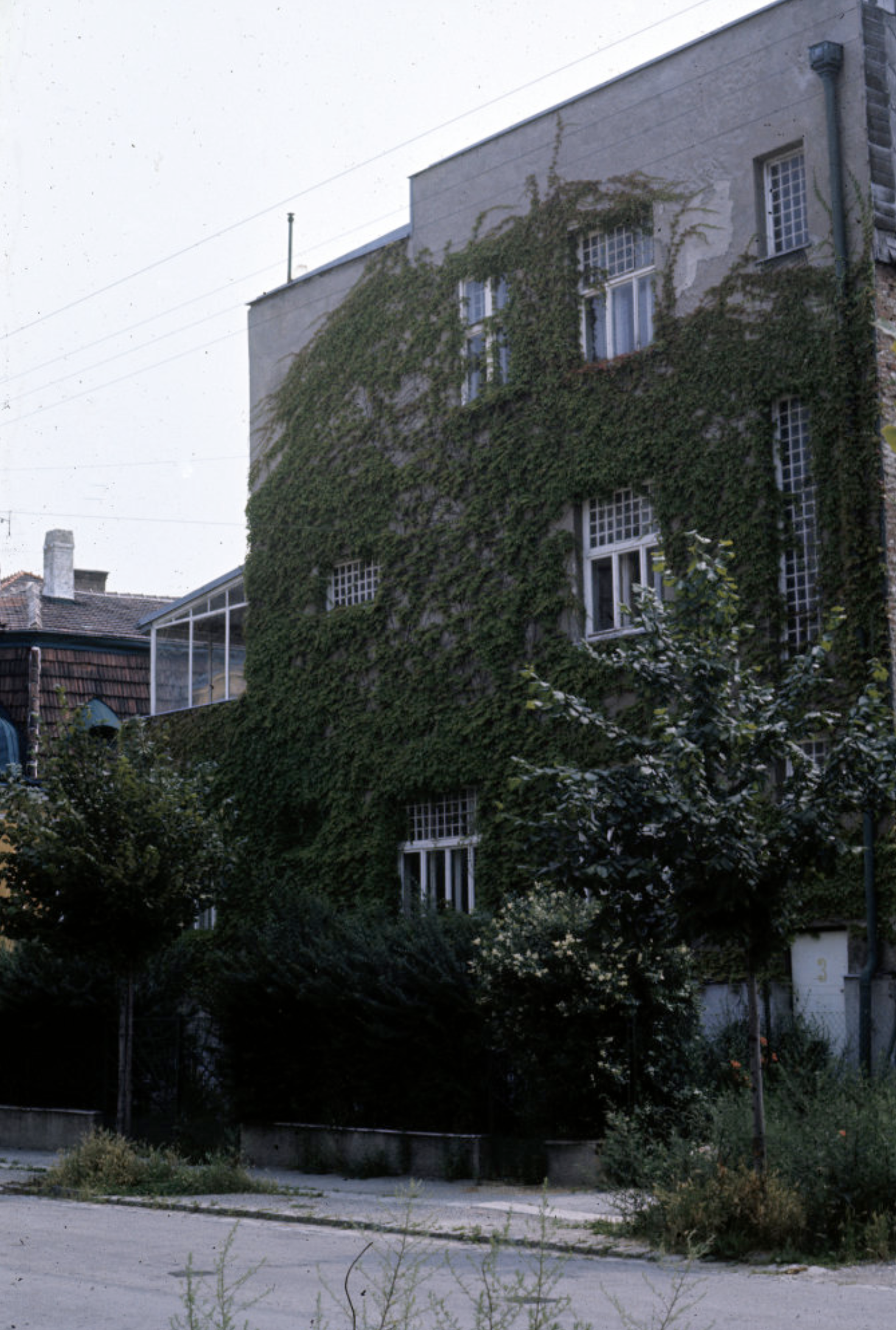 Scheu House